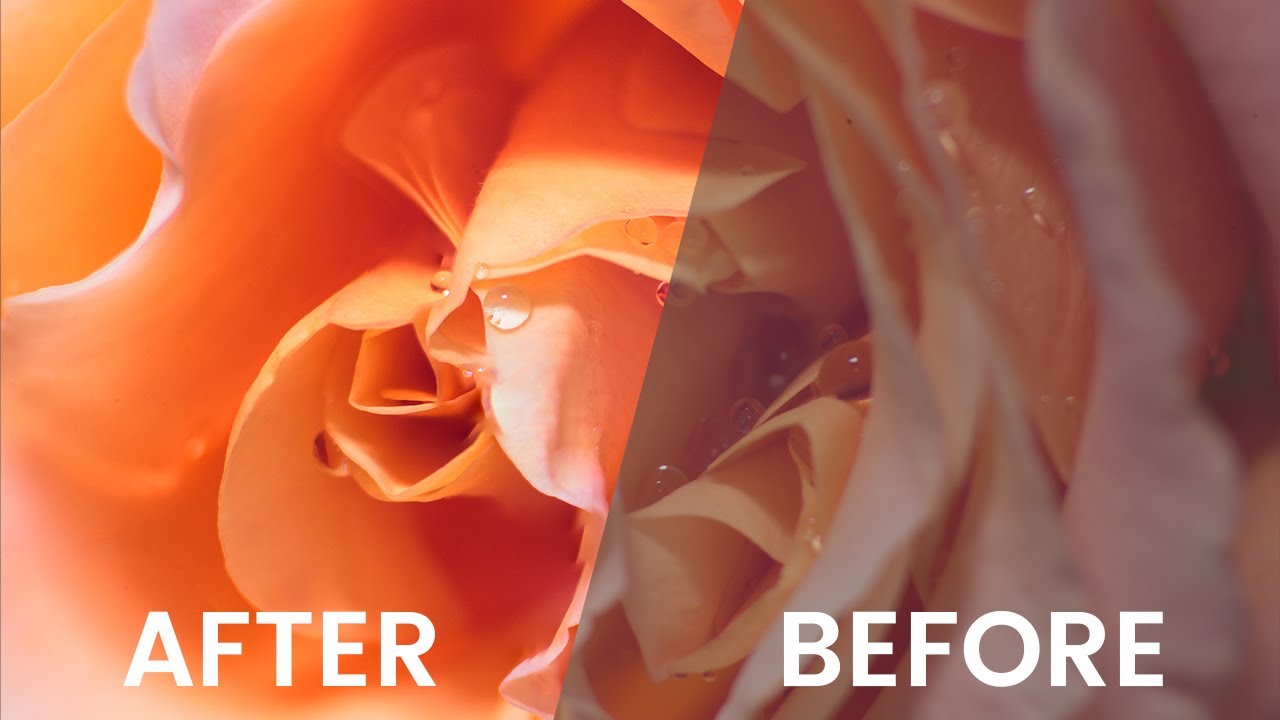 Adobe Photoshop Review – Focus Stacking Software